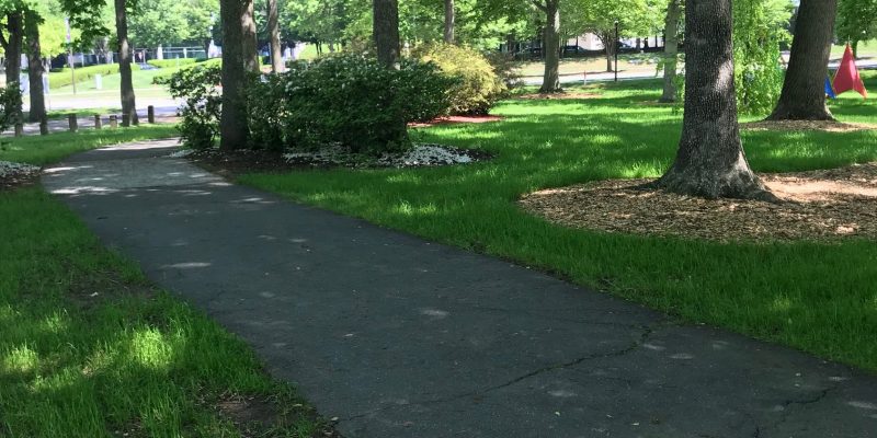 Merriweather Park at Symphony Woods – GLW